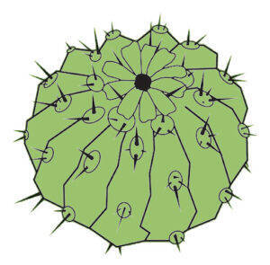 The distribution of cacti and succulents in the world: the maps