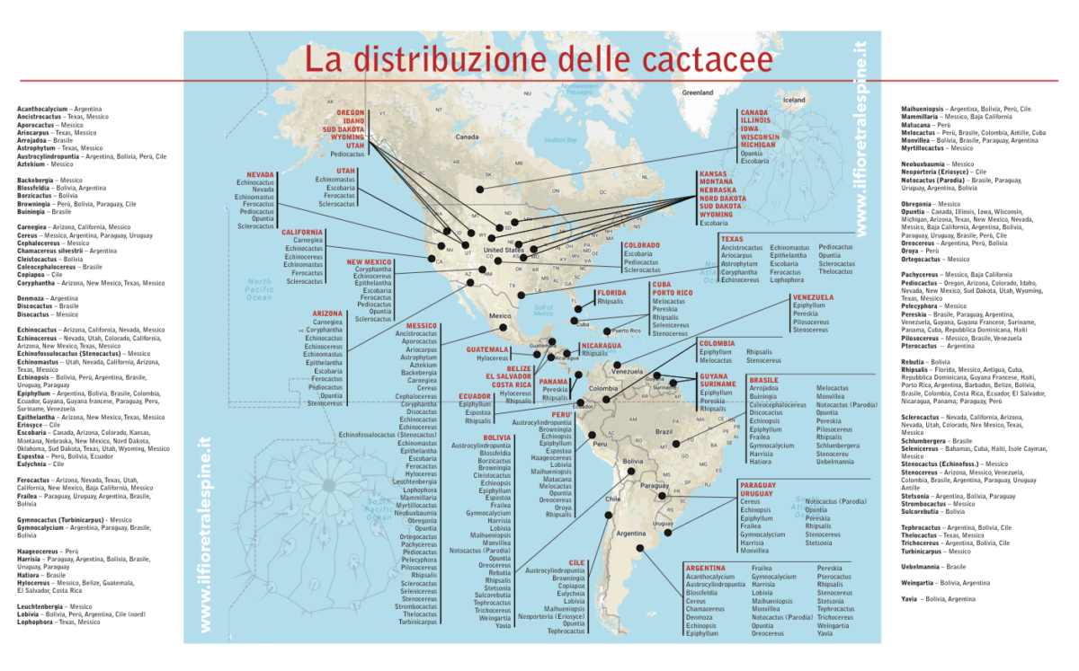 Mappa distribuzione cactus - Il fiore tra le spine
